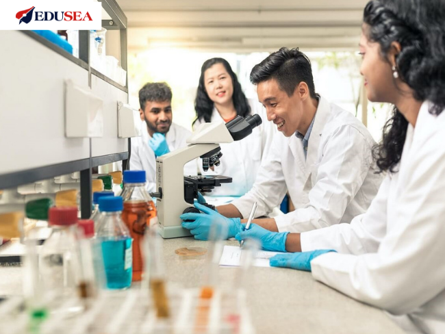 Du học Singapore 2021: Các ngành thiết yếu tại MDIS – Du học EduSea ...